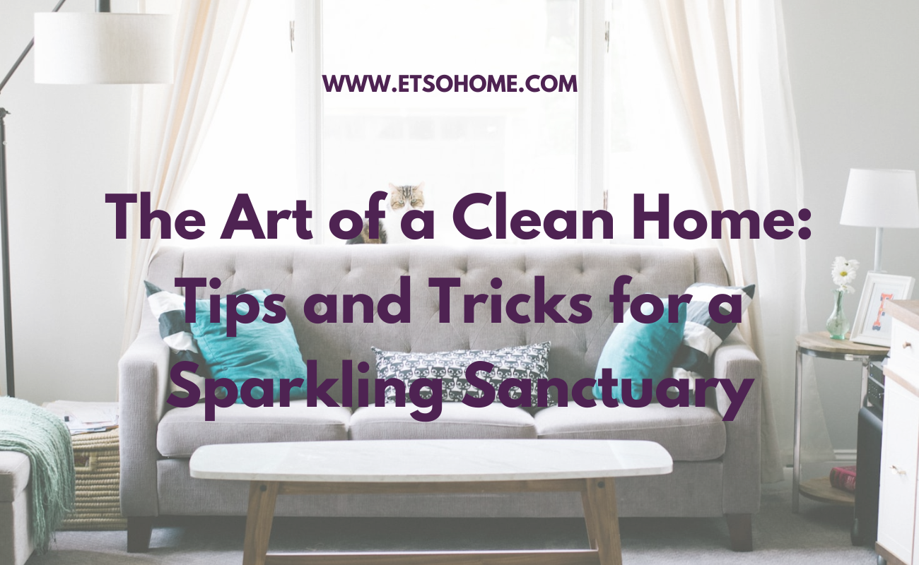The Art of a Clean Home: Tips and Tricks for a Sparkling Sanctuary ...
